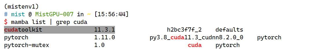 conda创建虚拟环境 | MistGPU博客
